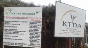 List of KTDA Factories in Kenya - Venas News