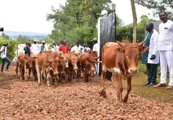 Luo Dowry Payment Procedures - Venas News