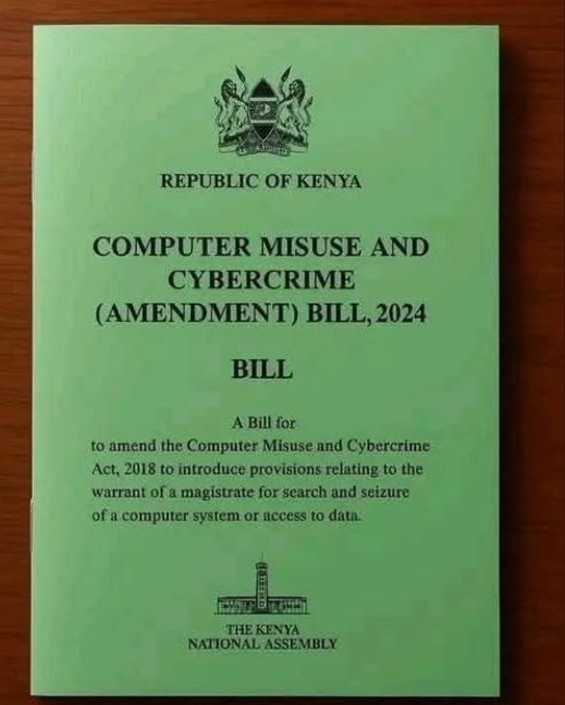 Cyber Crime Law in Kenya signed by Ruto 2025 - Venas News